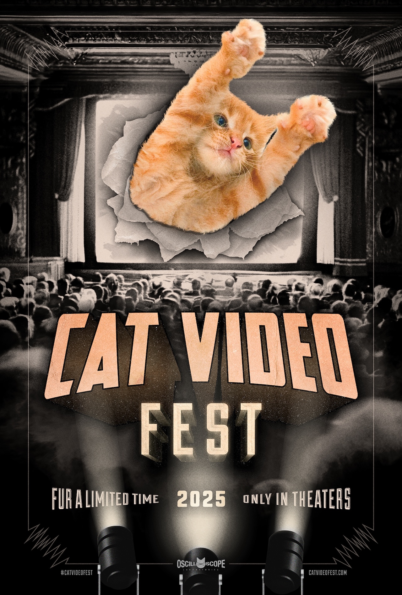 Cat Video Fest 2025 – A Compilation of Submitted Cat Videos That ...