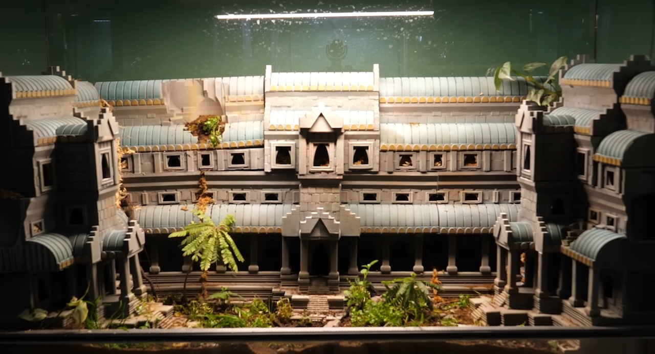 Man Builds Giant Terrarium Home for a Baby Gecko With Whom He Developed ...