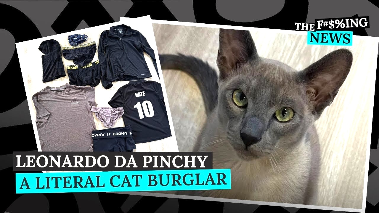 A Fantastic Journey Through Dance Scenes Edited Together From Beloved ...