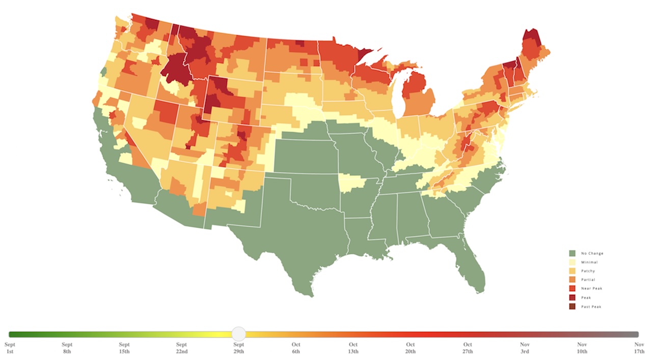 How Political Satire Was Expressed With Monstrous Animals, Creatures ...