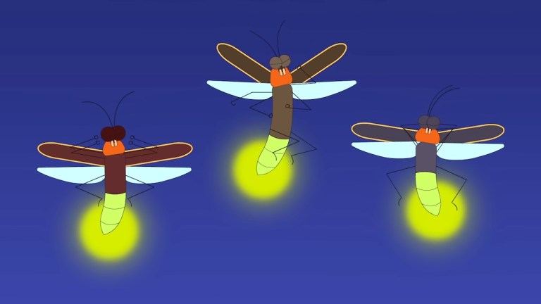 The Long History of Yodeling in the Swiss Alps