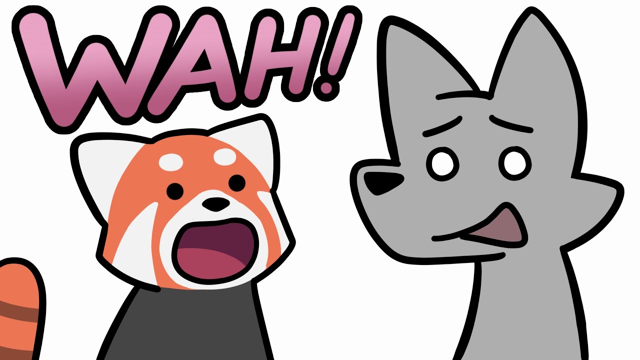 The Long Complex Naming History of the Red Panda