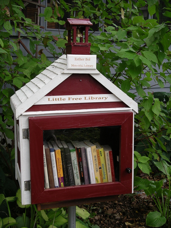 Little Free Library, Worldwide Effort to Build Tiny Community Libraries