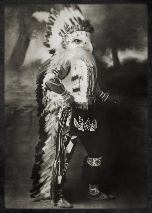 Grand Ole Bestiary, Retro Style Prints of Anthropomorphic Animal Heads ...