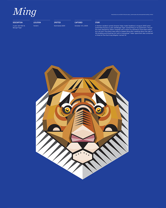 Wanted Posters for Wild Animals Who Have Been Loose in NYC