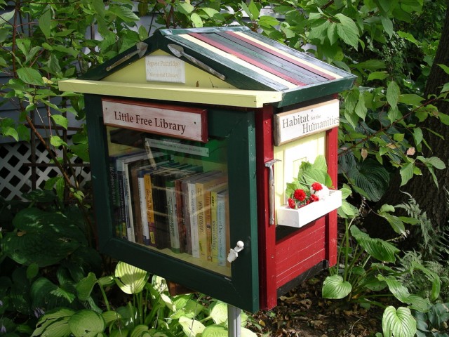 Little Free Library, Worldwide Effort to Build Tiny Community Libraries
