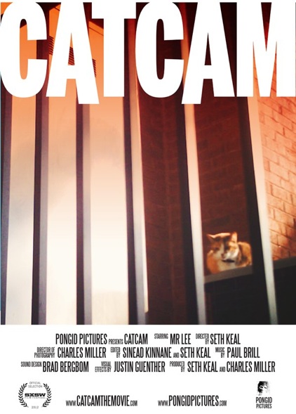 CatCam the Movie, A Short Film About the Adventures of a Tomcat