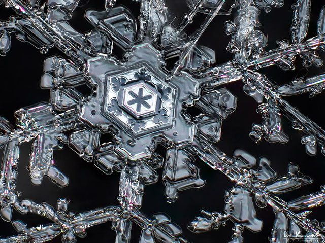 Stunningly Detailed Macro Photographs of Snowflakes