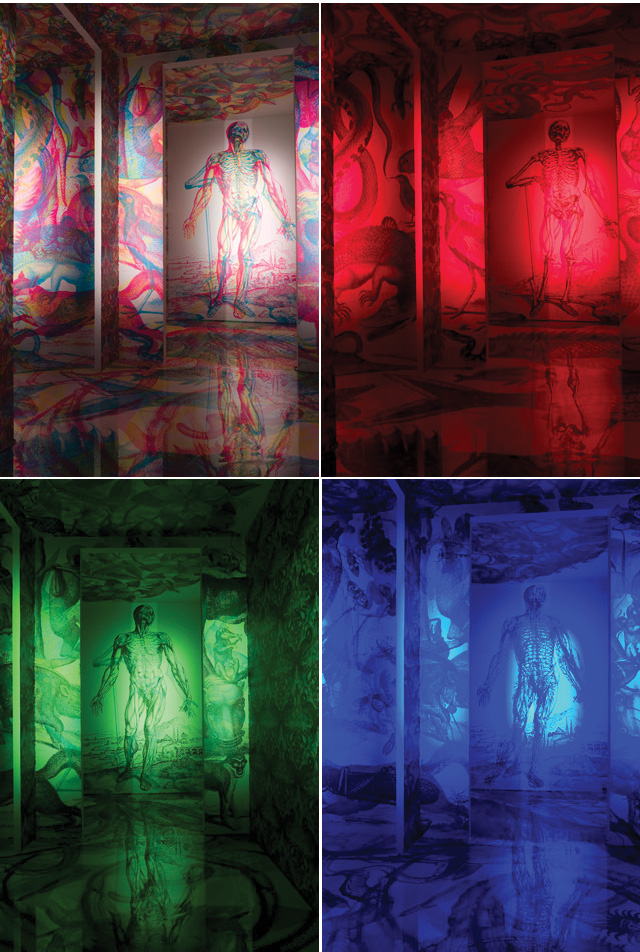RGB, Primary Color Filters Beautifully Expose Layered Images