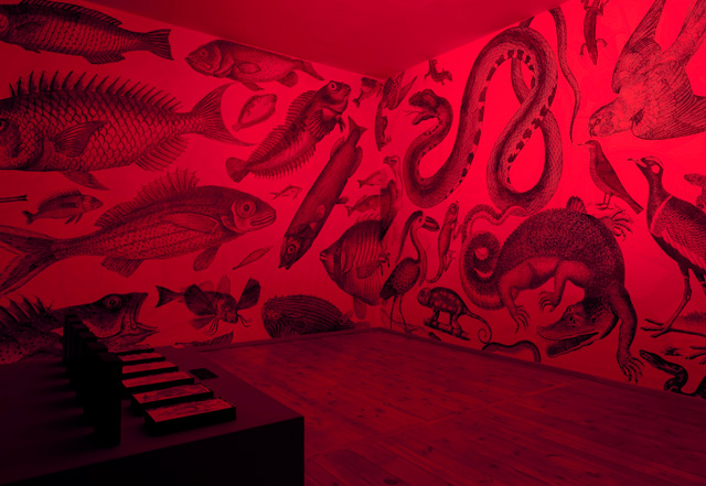 RGB, Primary Color Filters Beautifully Expose Layered Images