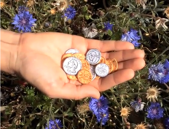 Seed Money, Paper Coins That You Can Plant by Leafcutter Designs