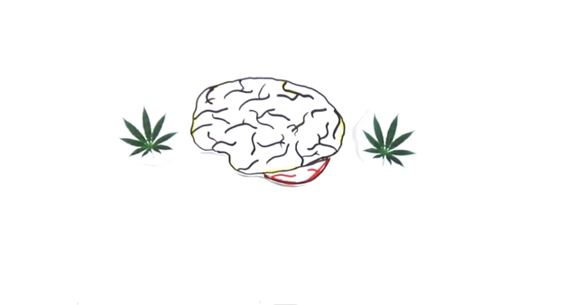 Your Brain on Marijuana by AsapScience