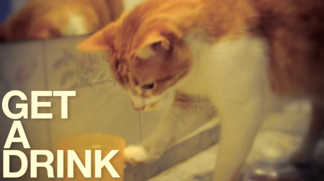 Breton the Cat's Guide to the Good Life