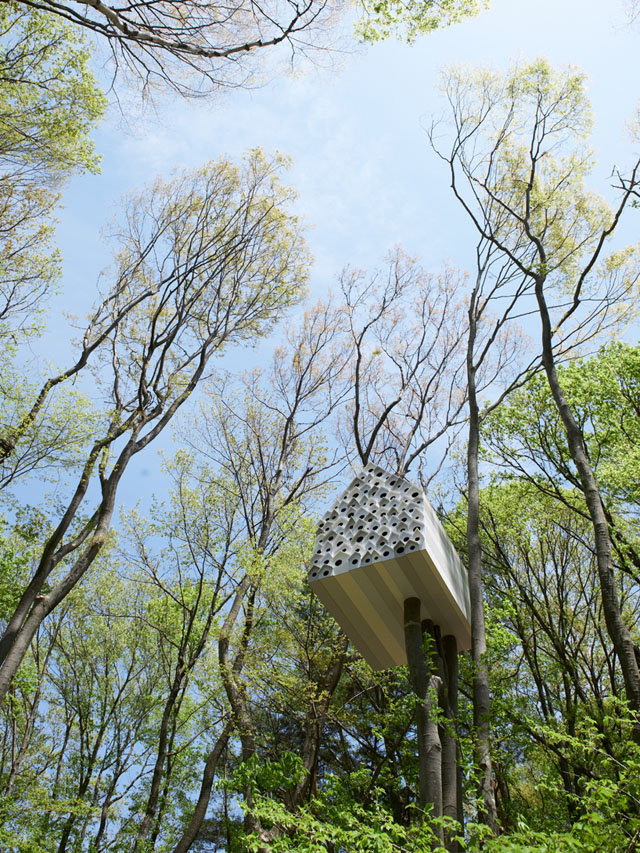 Bird-Apartment, A Treehouse That Is Also A 78 Nest Birdhouse