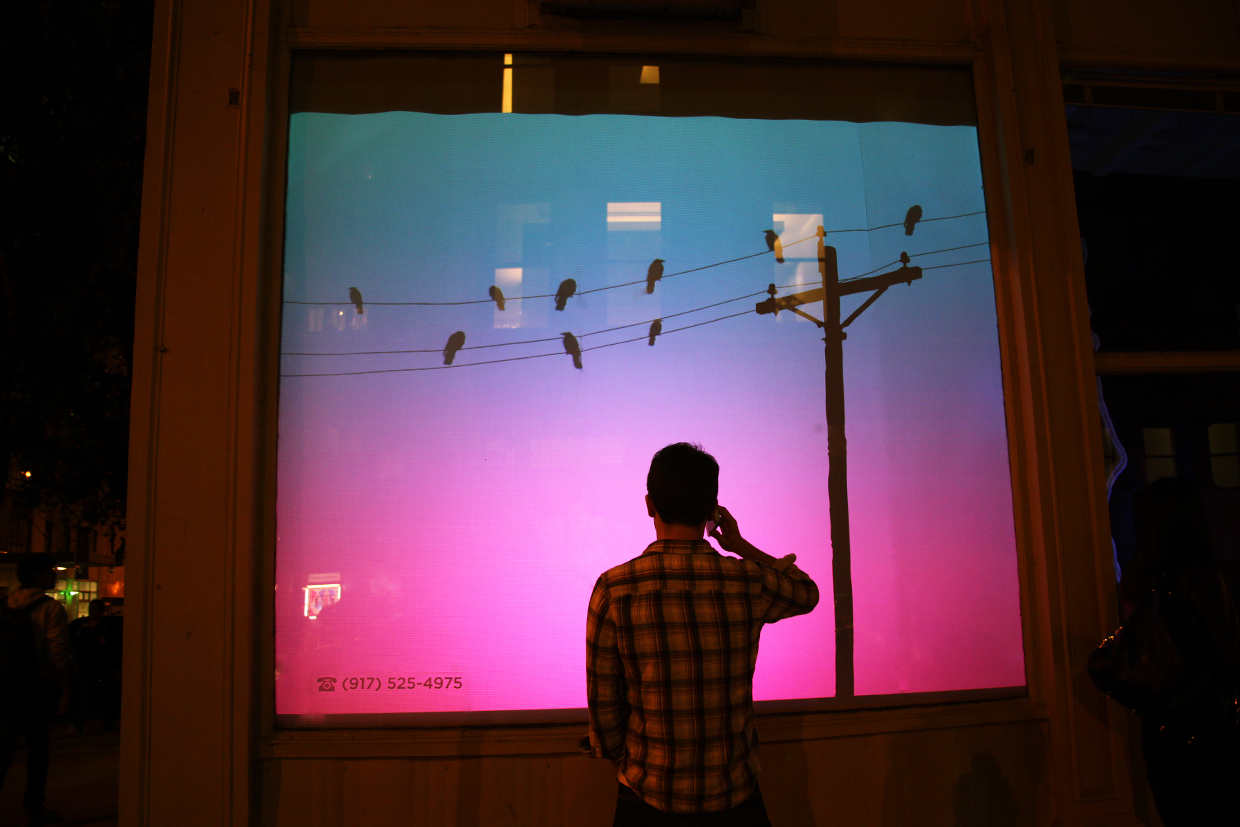 Bird on a Wire, An Interactive Window Display of a Digital Flock of Birds