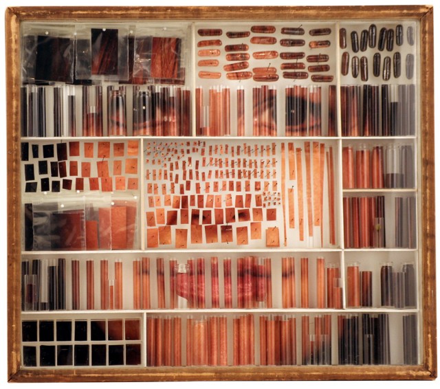 Photographic Specimen Portraits by Michael Mapes