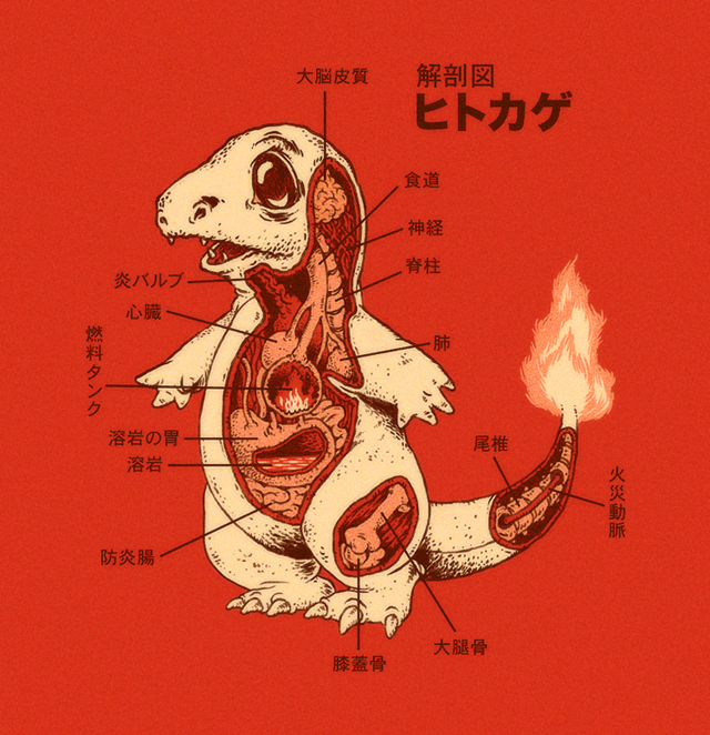 Pokémon Anatomy, An Illustrated Series of Pokémon Characters