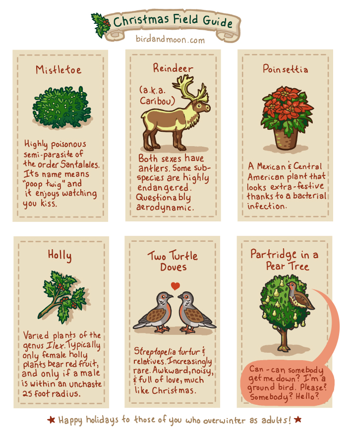 A Field Guide To Christmas Plants and Animals