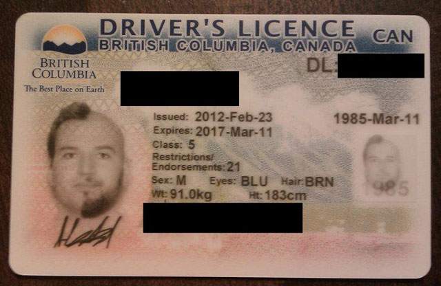 Crazy-Haired Driver's License Photo