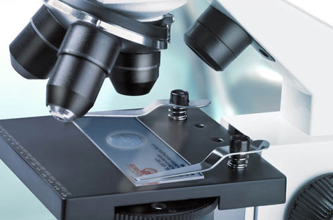 Microscope Slide Business Cards