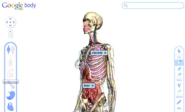 Browse Your Organs with Google Body