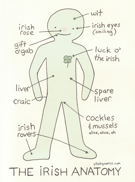 The Irish Anatomy