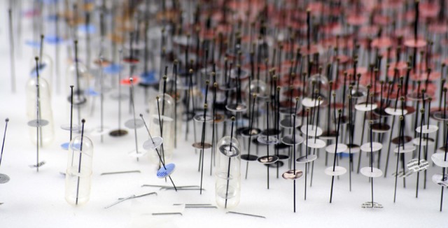 Photographic Specimen Portraits by Michael Mapes