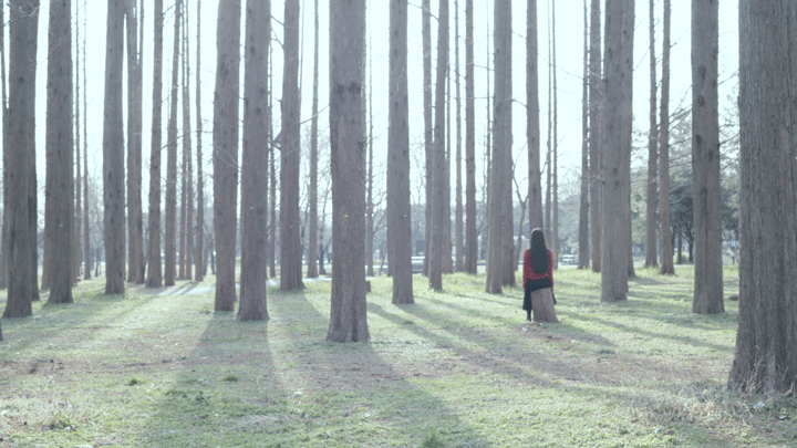 Mesmerizing Animated GIFs of a Woman & Objects Rotating On An Axis