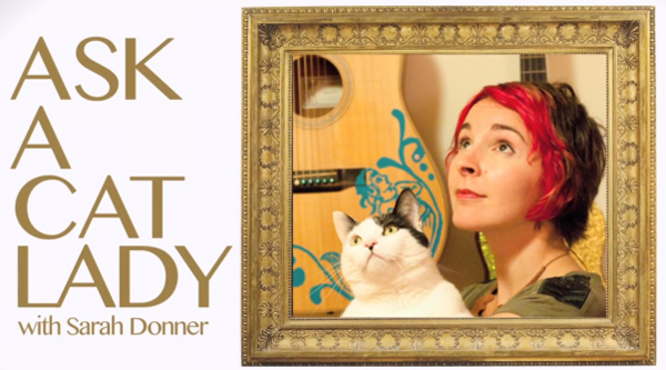 Ask a Cat Lady, Sarah Donner Answers Cat Questions in Song