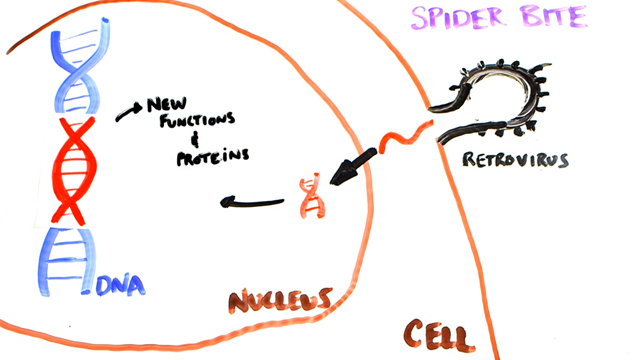 The Science Behind Spider-Man's Powers