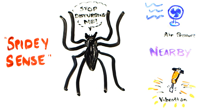 The Science Behind Spider-Man's Powers