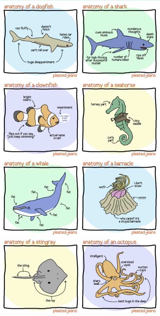Unscientific Diagrams Featuring the Anatomy of Sea Life