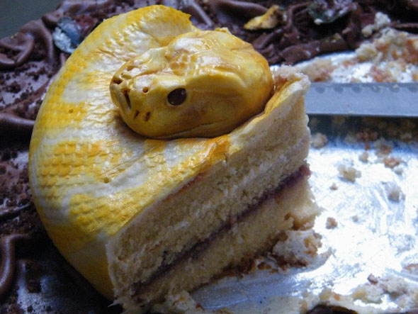 A Birthday Cake That Looks Just Like an Amelanistic Burmese Python