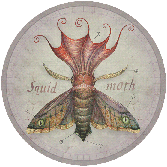 Cephalopodoptera, An Animated Illustration Series That Combines ...