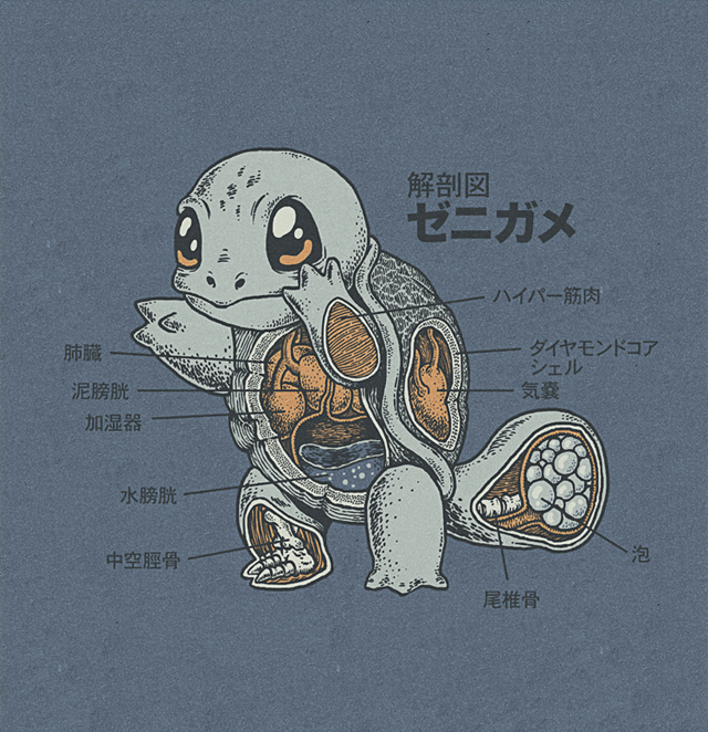 Pokémon Anatomy, An Illustrated Series of Pokémon Characters
