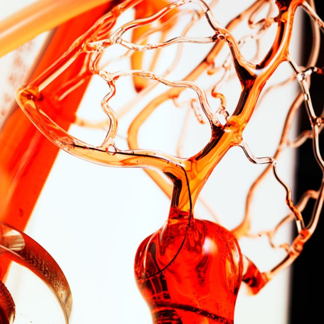 Handmade Glass Anatomical Models by Farlow’s Scientific Glassblowing