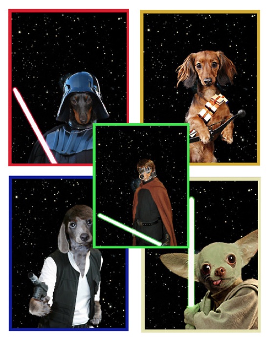 Star Wars Dogs