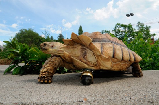 Vets Replace Tortoise's Amputated Leg With Wheel
