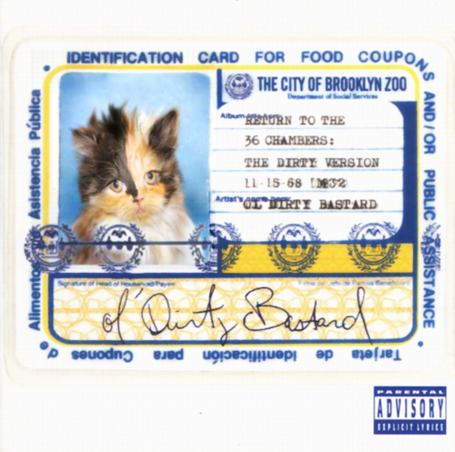 The Kitten Covers, Legendary Album Covers Reimagined With Kittens