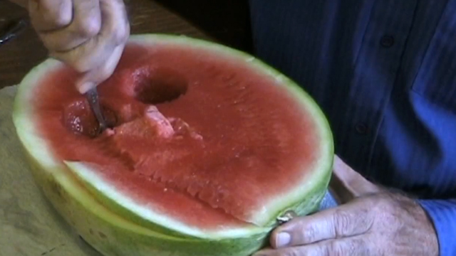 How to Eat a Watermelon, A Funny & Informative Tutorial by Tom Willett