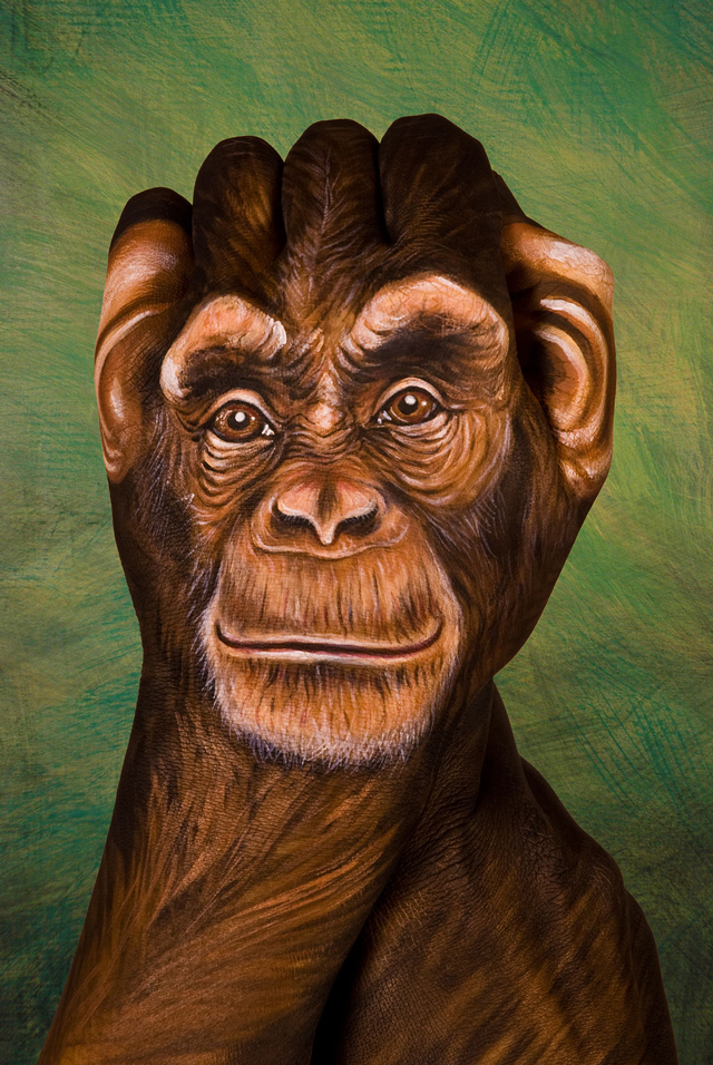 Handimals, Hyper-Realistic Hand Paintings