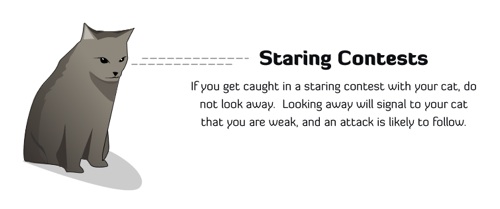 How to Tell if Your Cat is Plotting to Kill You by Matthew Inman